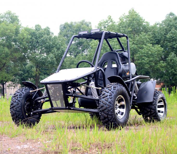 COC Standard EEC Automatic Dune Buggy 200cc 350kg Load Capacity For ...