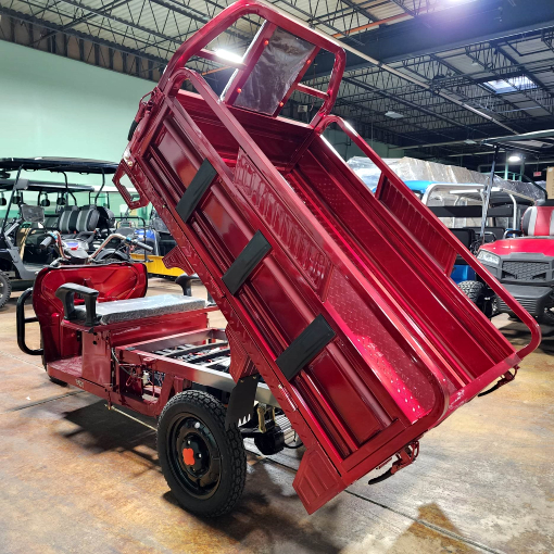 Electric Powered Cargo Truck 1000 Watt Motorized Moped 3 Wheel Bicycle ...