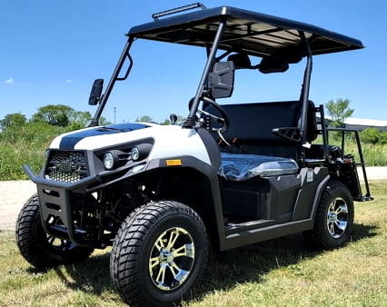 Gas Golf Cart Utility Vehicle UTV Rancher 200 EFI With Automatic Trans ...
