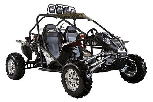 Go Kart Buggy With 600cc Chery Engine Manual Transmission With 5 Gears
