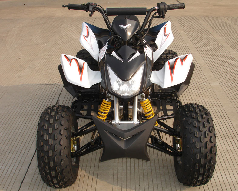 Mid Size Four Wheel ATV 110cc Fully Automatic With Reverse Front Double ...