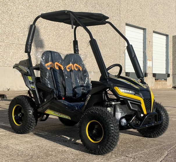 200cc Mini Go Kart Buggy Fully Automatic With Reverse