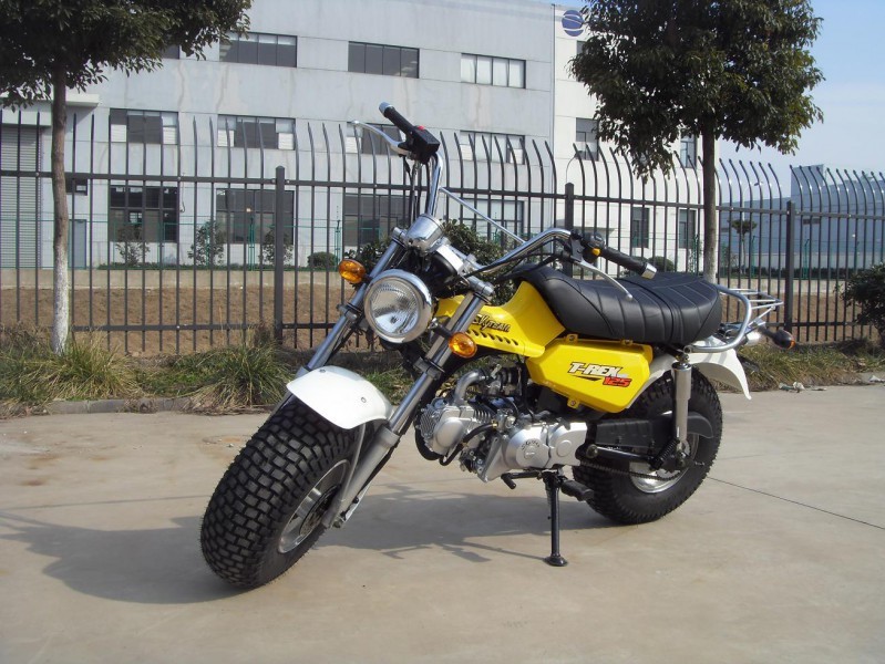Skyteam T - Rex 125 125cc Mini Bike , 2 People Motorcycle With 4 Speed Gear