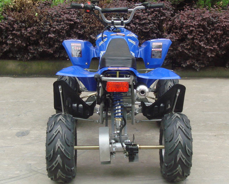 Electric Start Racing 4 Wheelers Youth 110cc Atv With Front Double A - Arm
